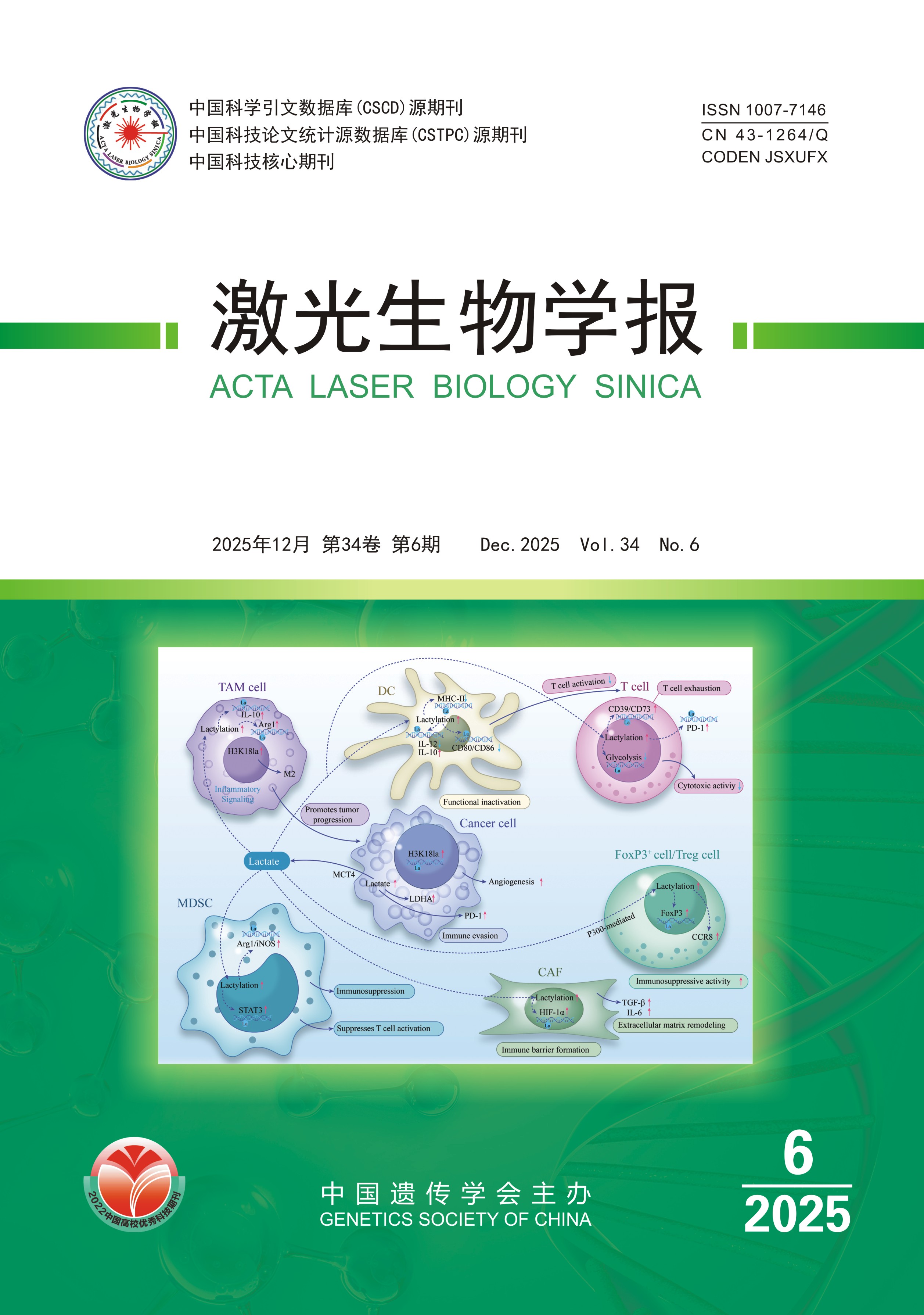 The Effect of Bone Marrow Mesenchymal Stem Cells on Rats with Spinal Injury